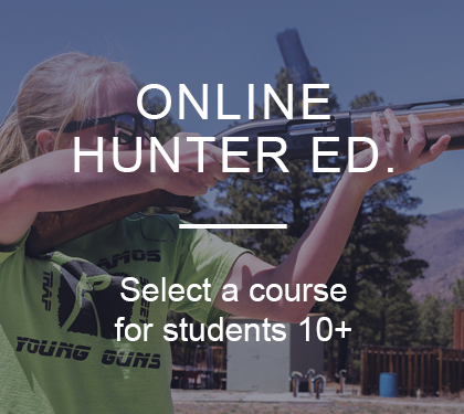 NMDGF-Redesign - NMDGF