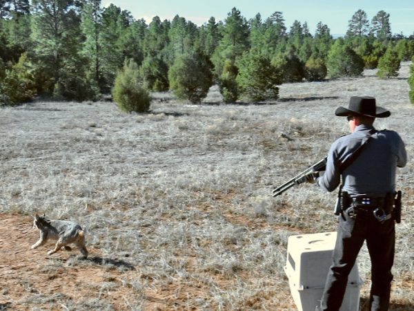 July Officer of the Month - NMDGF