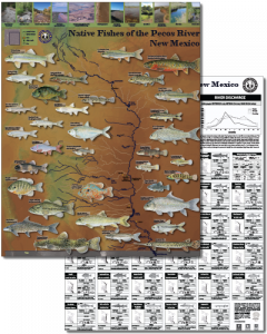 Native New Mexico Fish - NMDGF