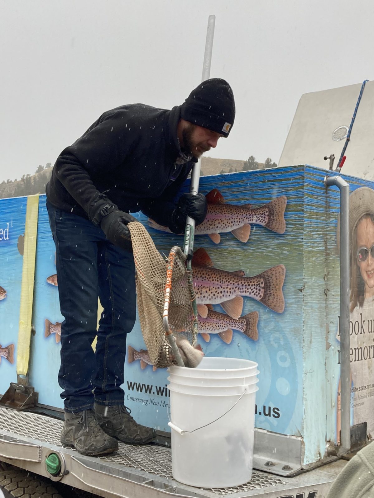 Weekly Fishing & Stocking Report - NMDGF