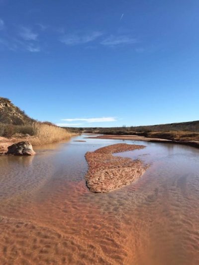 Canadian River Native Fish Conservation - NMDGF