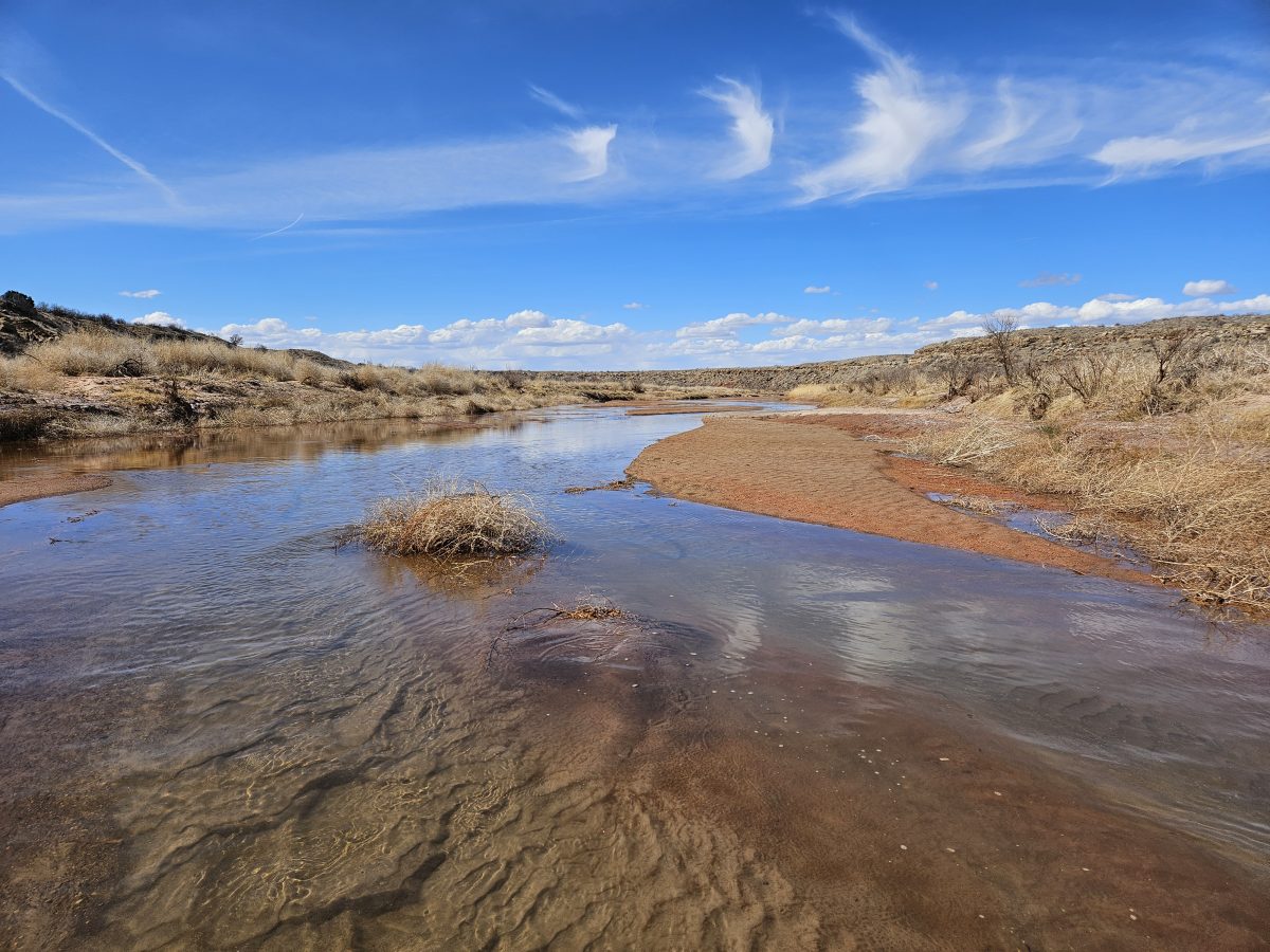 Canadian River Native Fish Conservation - NMDGF